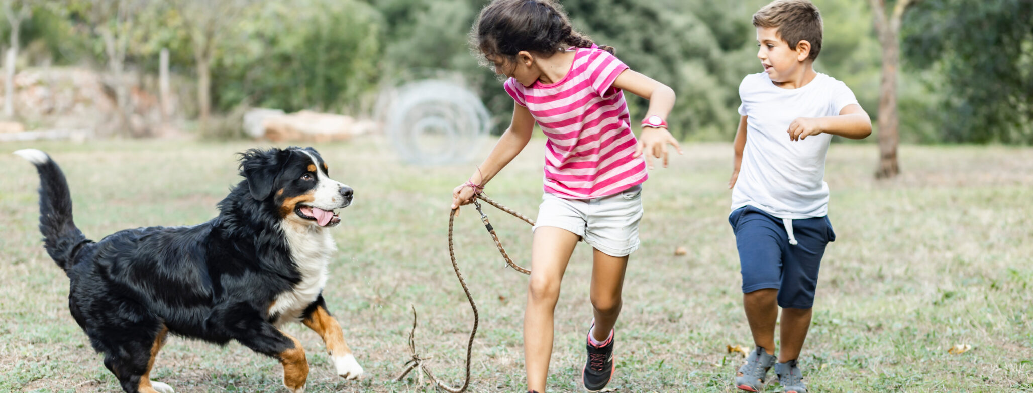 Parenting and Dogs: Creating a Safe Environment for Children - Prime ...